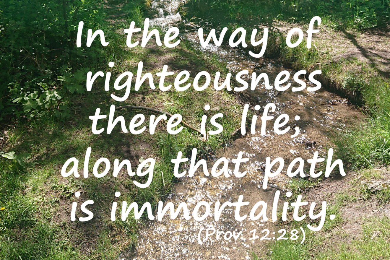 The way of Righteousness – Faith at Work Network